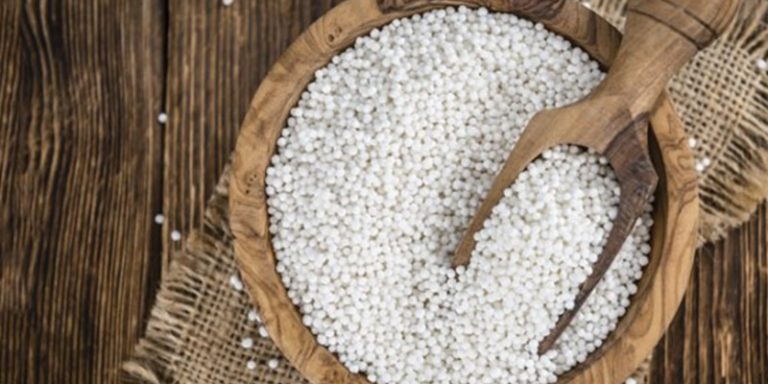 Sago Seed (Tapioca Pearl) – Madamdo Interfood